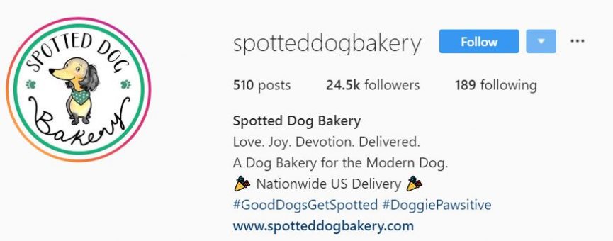 Instagram Bio Ideas with Emoji to Grow Your Account!