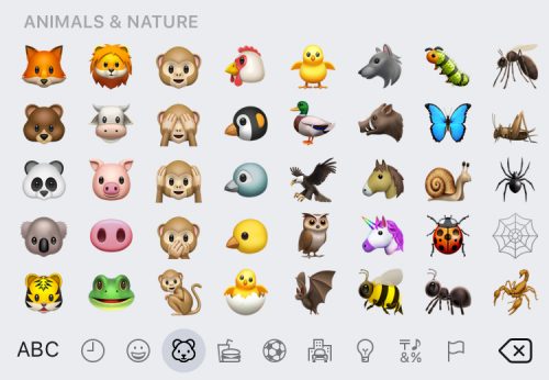 Instagram Bio Ideas with Emoji to Grow Your Account!